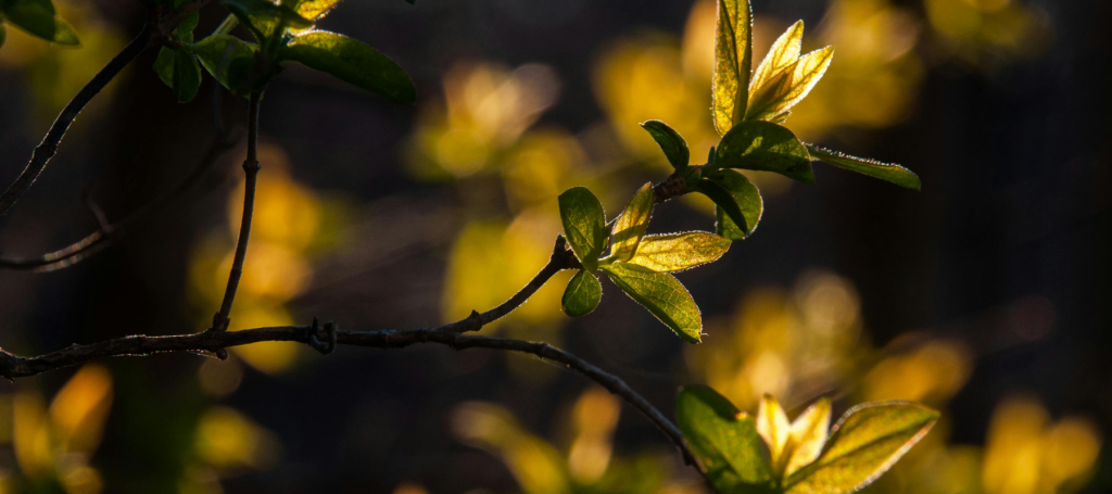 Yeah Nah: The Ultimate Cold Start Problem | May Newsletter - Digital ...
